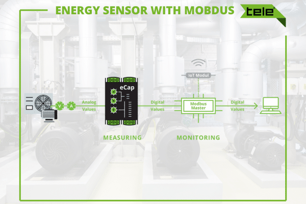 📈🖥️ eCap®: Total Harmonic Distortion Analyzer - Tele Haase